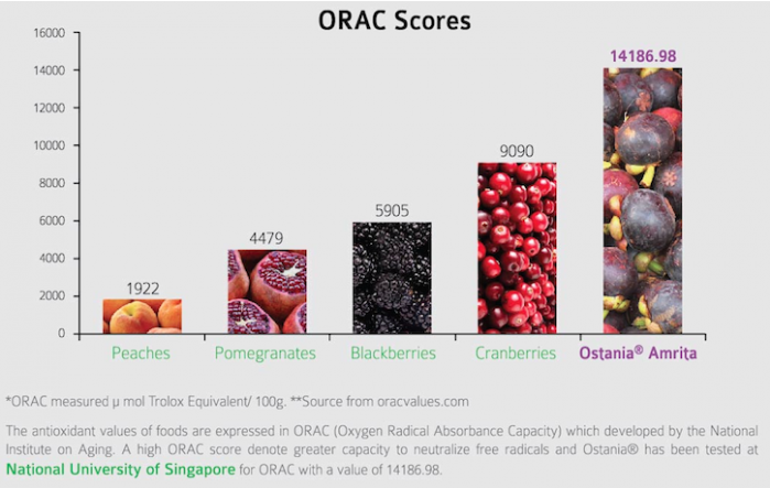 Antioxidant, Importance And Highest Bioavailable Source Mangosteen ...