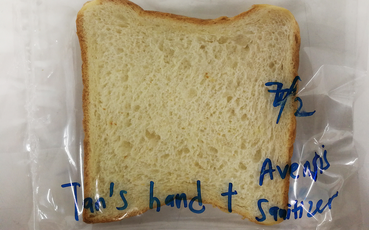 Bread Mould Vs. Preservatives - FBIO